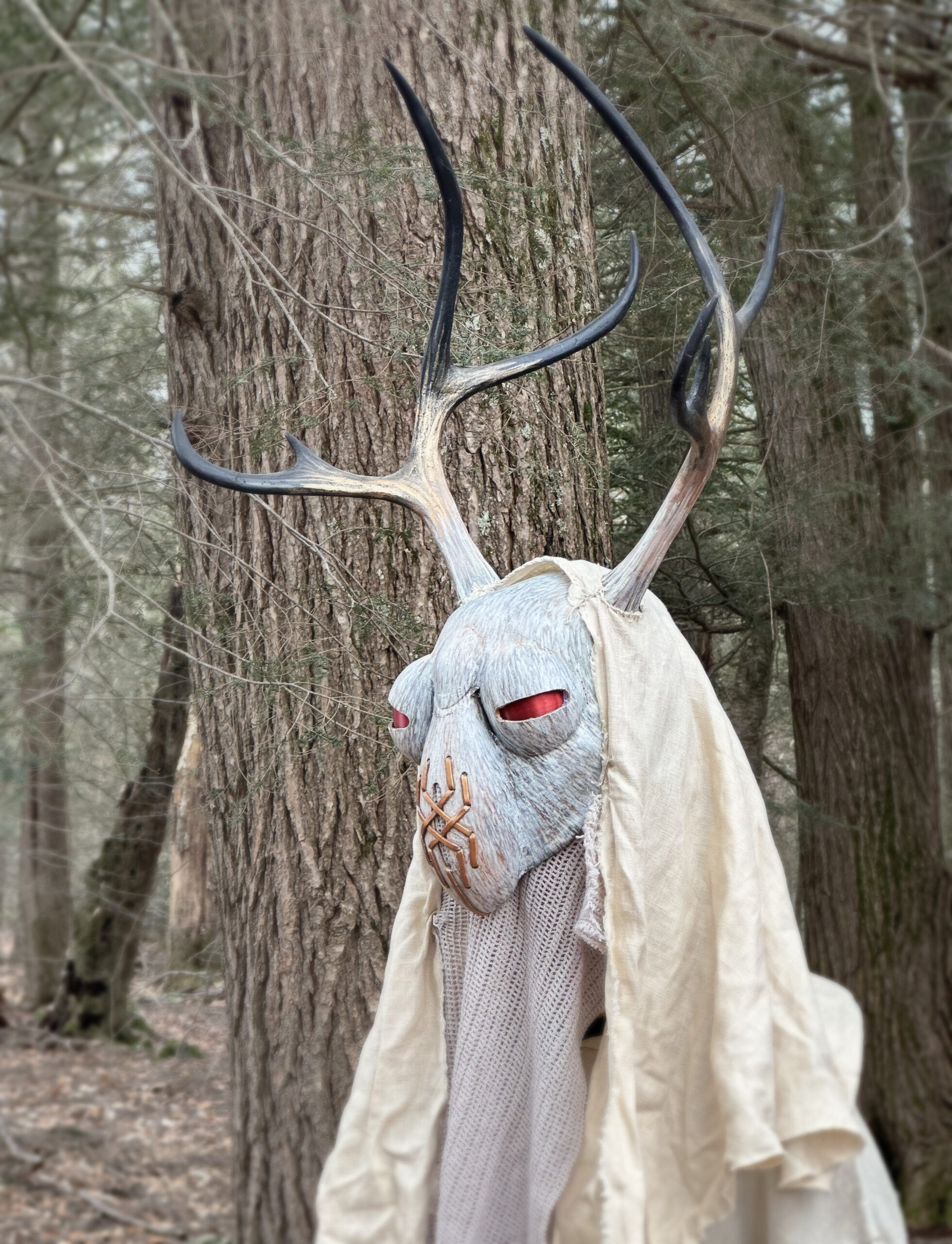 Stag - Light • The Bridge Brothers